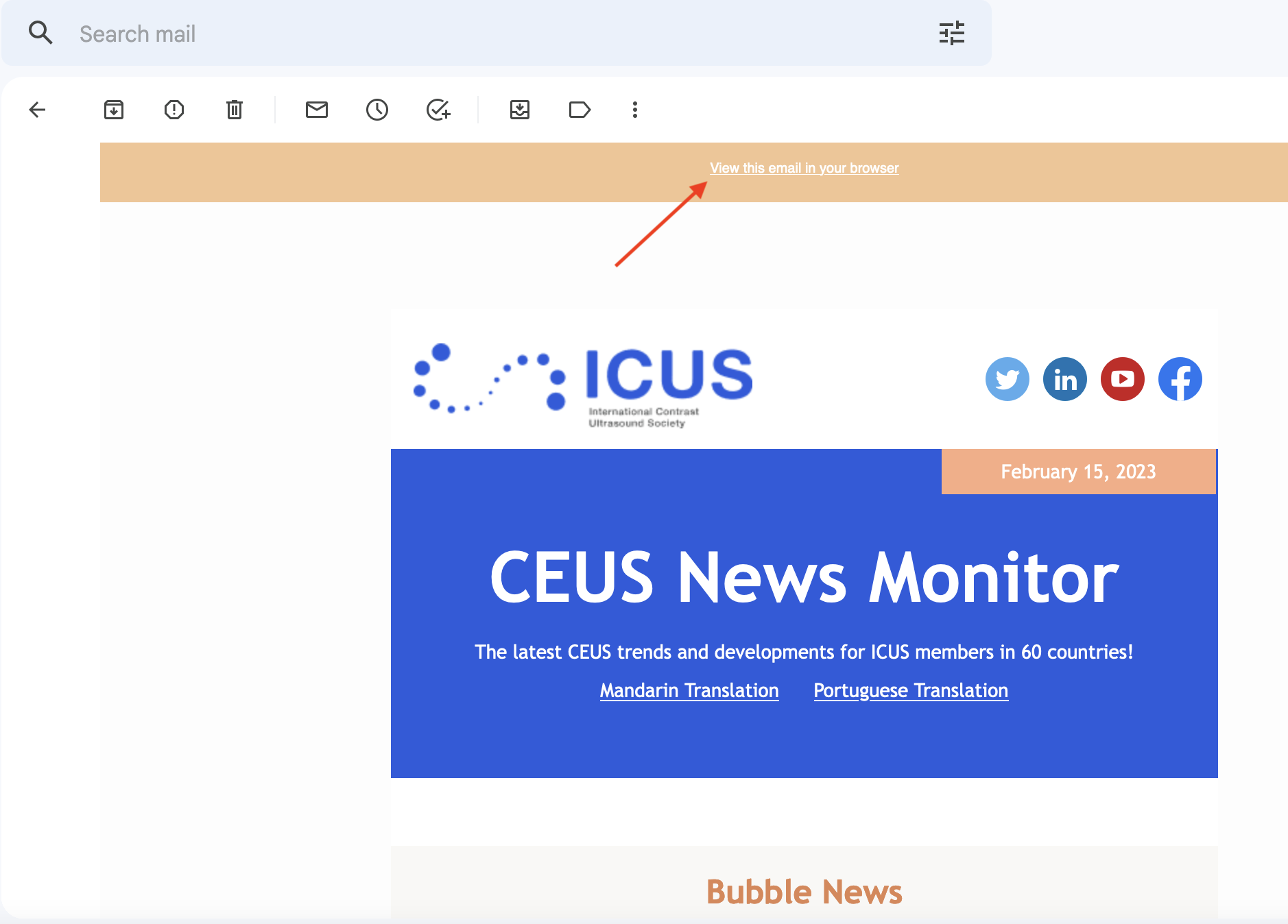 CEUS News Monitor Translation - International Contrast Ultrasound Society